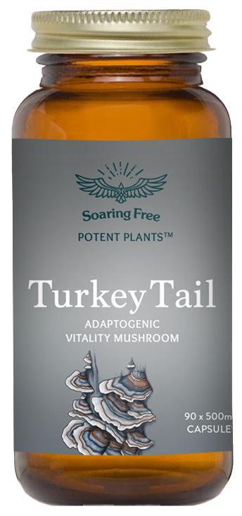 Buy Soaring Free Turkey Tail Mushroom Capsules Online | Faithful to Nature