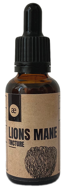 Buy Aether Lions Mane Extract Online | Faithful to Nature