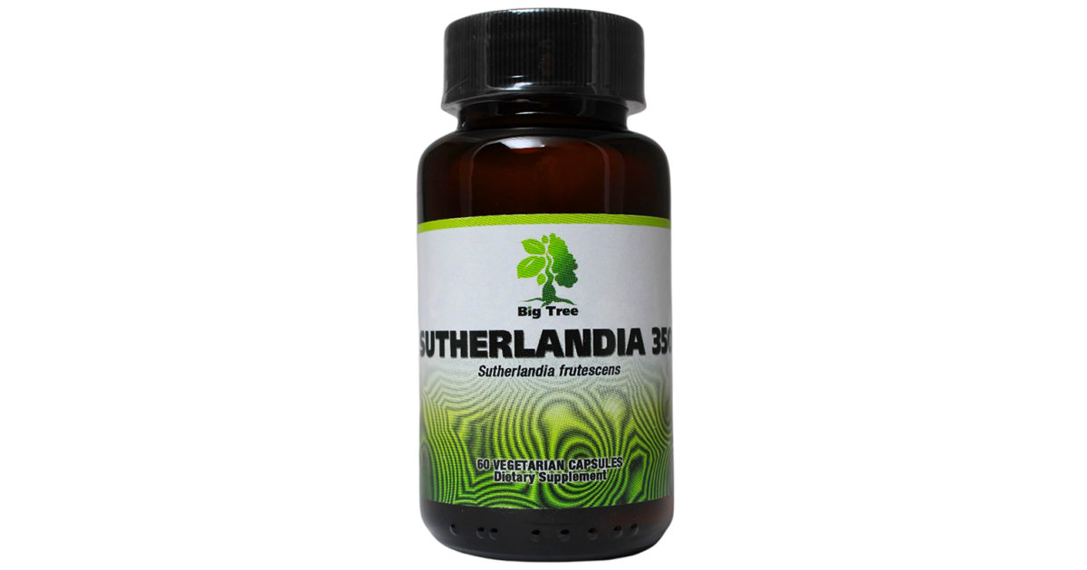 Buy Big Tree Sutherlandia Online | Faithful to Nature