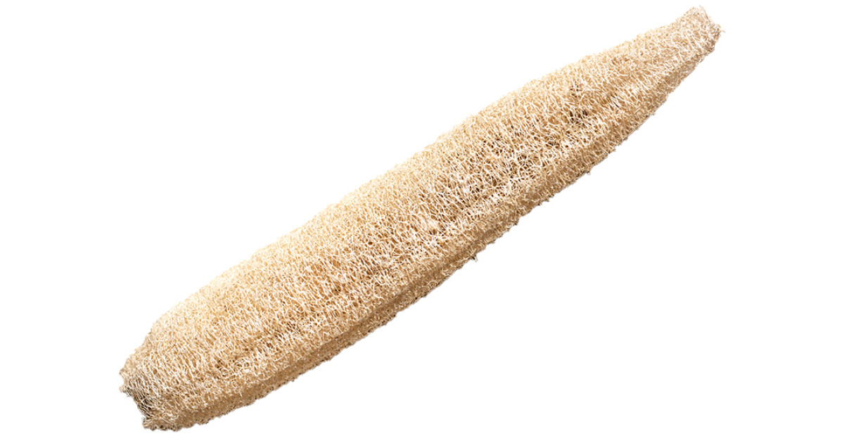 Buy Botanik 100% Natural Loofah Online | Faithful to Nature