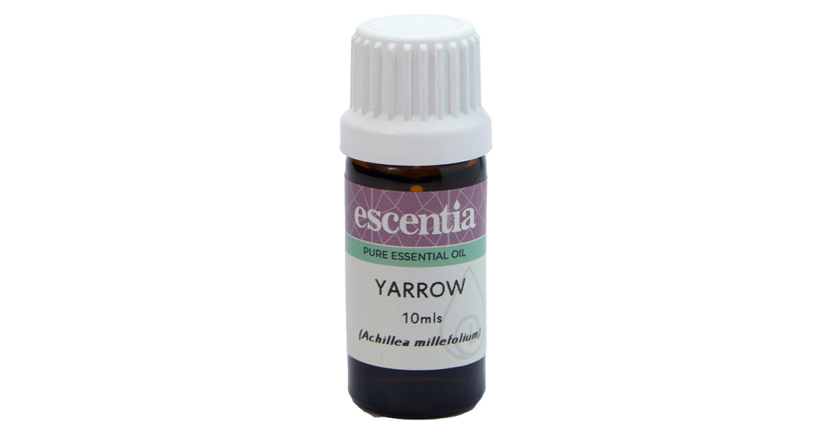 Buy Escentia Yarrow Essential Oil Online | Faithful to Nature