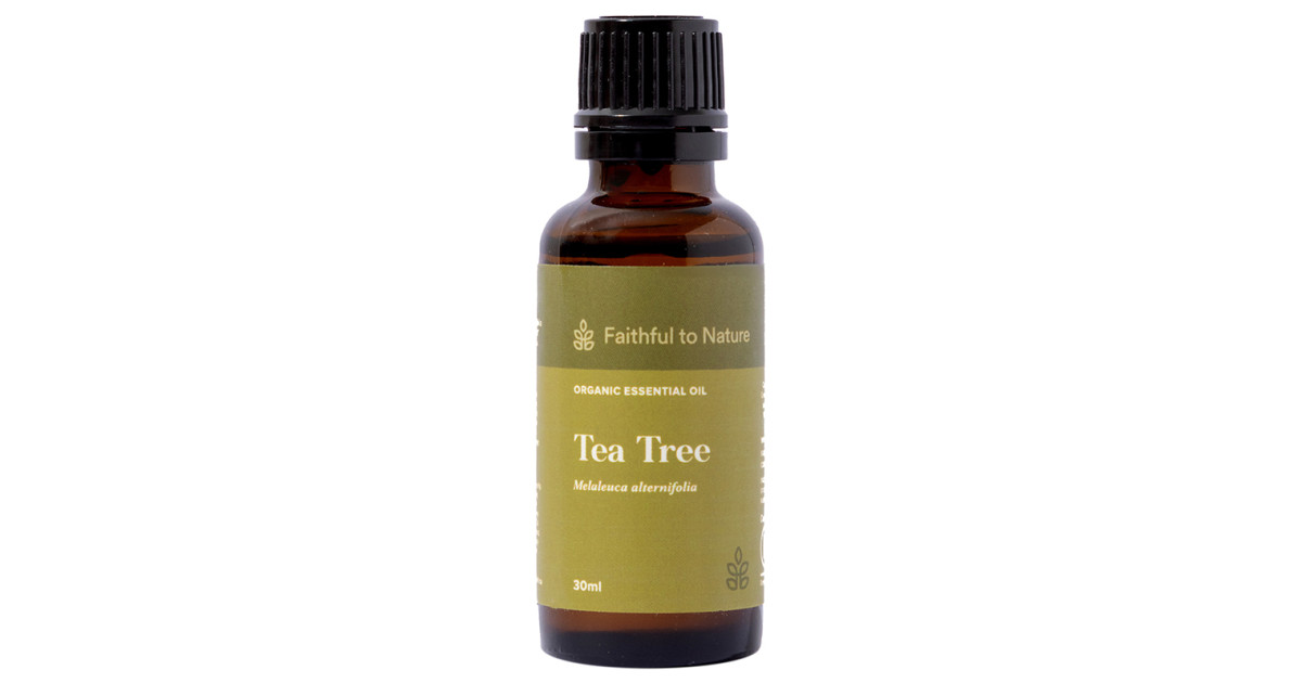 Buy FtN Organic Tea Tree Essential Oil, 30ml Online | Faithful to Nature
