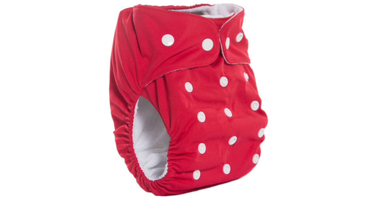 Buy Fancy Pants Bamboo Nappy with Microfibre Inserts, Cherry (Red ...