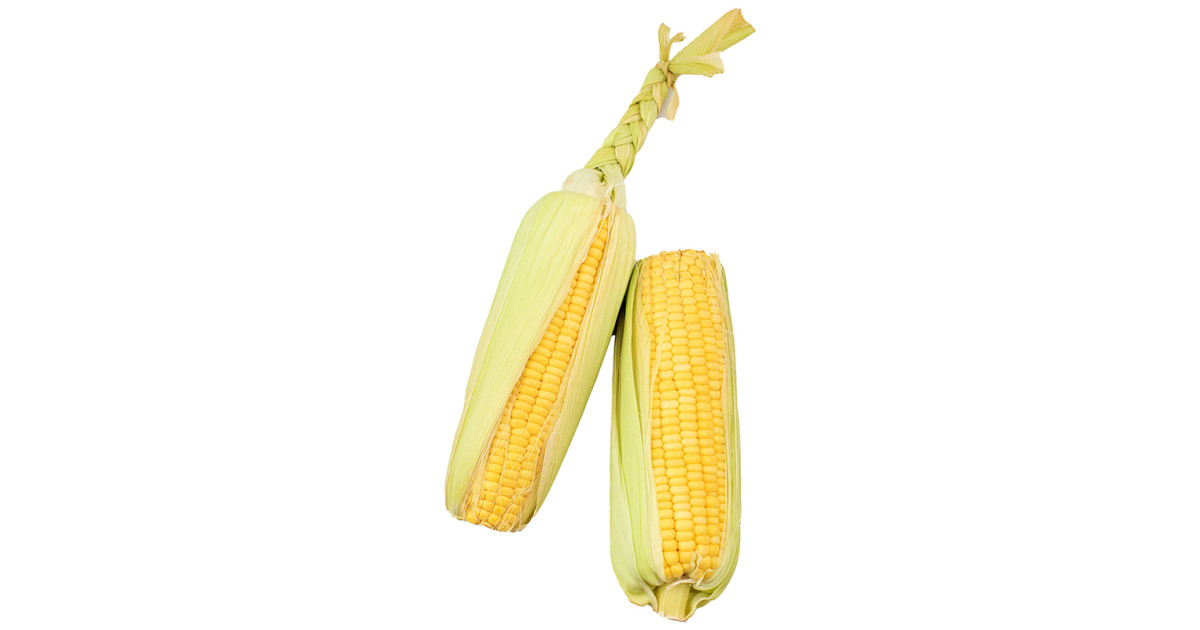 Buy Sandveld Seeds Golden Bantam Maize - Sweet Corn Online | Faithful ...