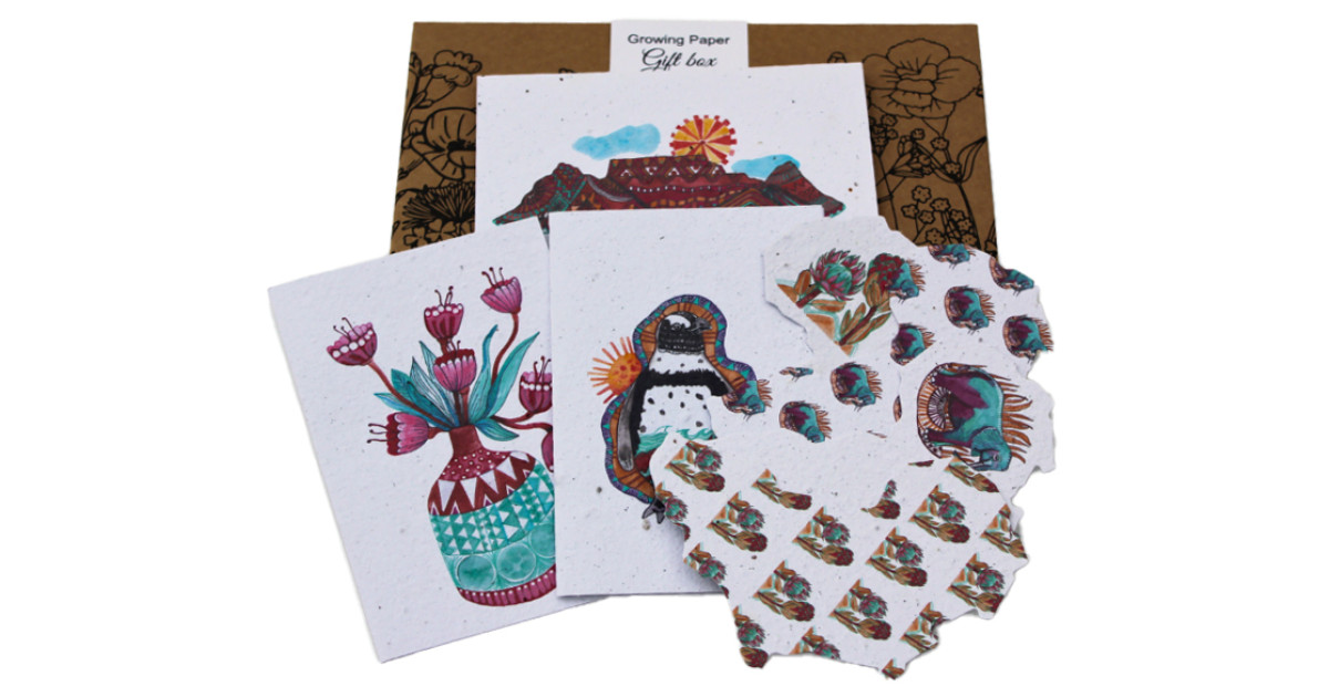 Buy Growing Paper Colour Me Africa Gift Box Online | Faithful to Nature