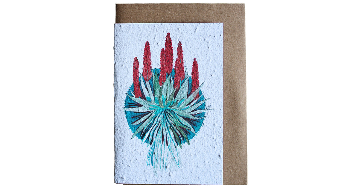 Buy Growing Paper Greeting Card Aalwyn Online | Faithful to Nature