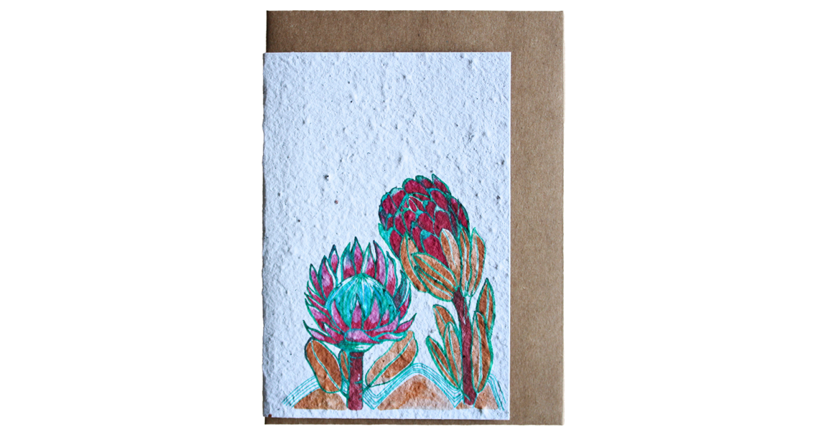 Buy Growing Paper Greeting Card Protea Online | Faithful to Nature