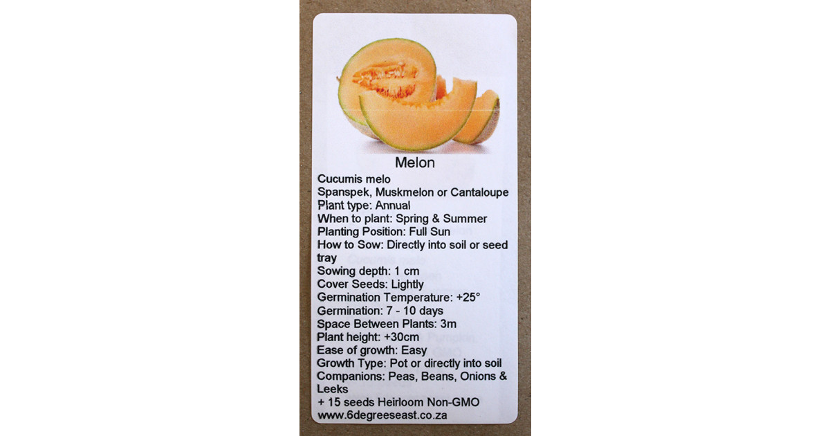 Buy 6 Degrees East Heirloom Veg Seeds - Melon - Spanspek, Musk or ...