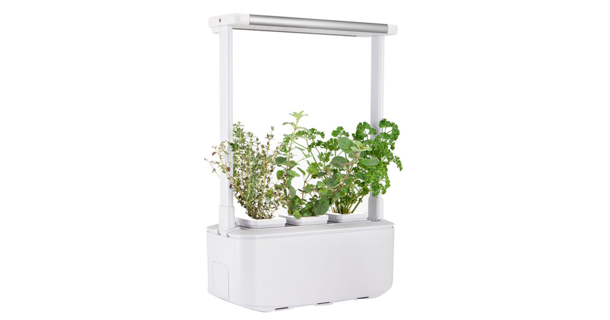 Buy Microgarden Smart Garden 3 Online | Faithful to Nature