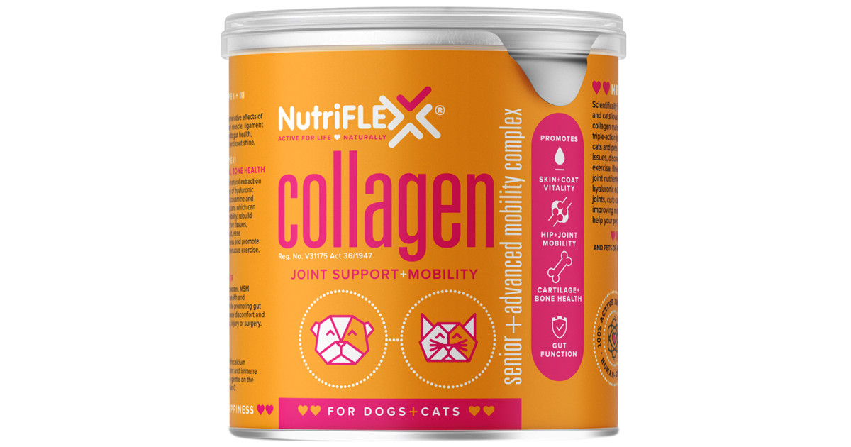 Buy NutriFlex Collagen for Advanced + Senior Cats & Dogs - 250g Online ...
