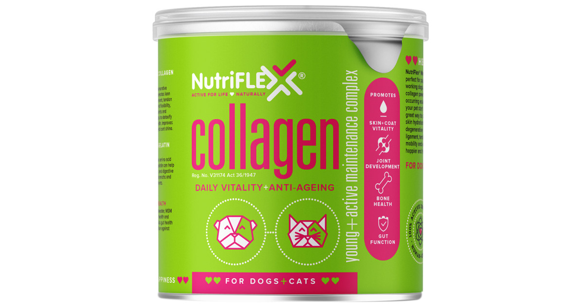 Buy NutriFlex Collagen for Maintenance + Young Dogs & Cats - 250g ...