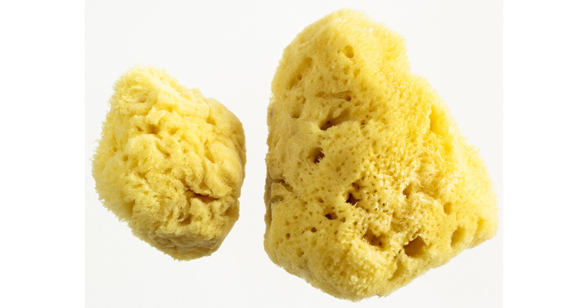 Buy Woman-Kind Menstrual Sponges Pack of 2 (Medium & Large) Online ...