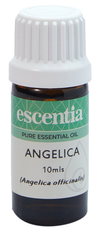 Buy Escentia Angelica Essential Oil Online | Faithful to Nature