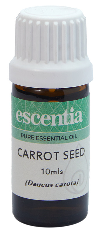 Buy Escentia Carrot Seed Essential Oil Online | Faithful to Nature