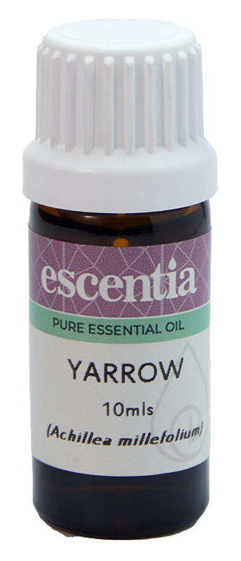 Buy Escentia Yarrow Essential Oil Online | Faithful to Nature