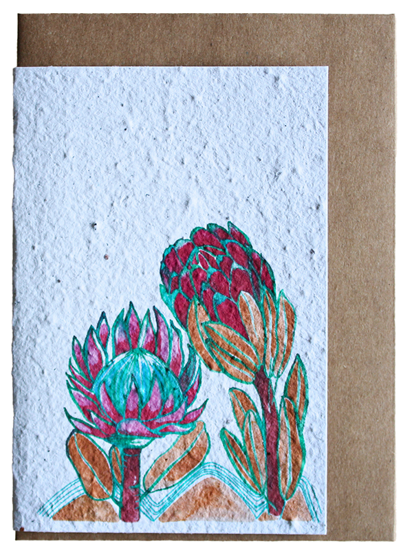 Buy Growing Paper Greeting Card Protea Online | Faithful to Nature
