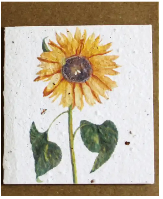 Buy Growing Paper Sunflower Mini Card Online | Faithful to Nature