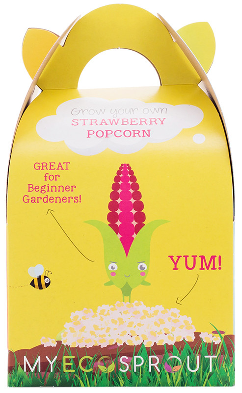 Buy My Eco Sprout Grow Your Own Strawberry Popcorn Online | Faithful to ...