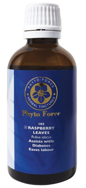 Buy Phyto-Force Raspberry Leaves Herbal Tincture Online | Faithful to ...
