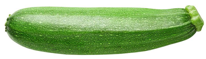 Buy Sandveld Seeds Baby Marrow Online | Faithful to Nature