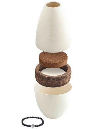 Buy Biotree Urn Online | Faithful to Nature