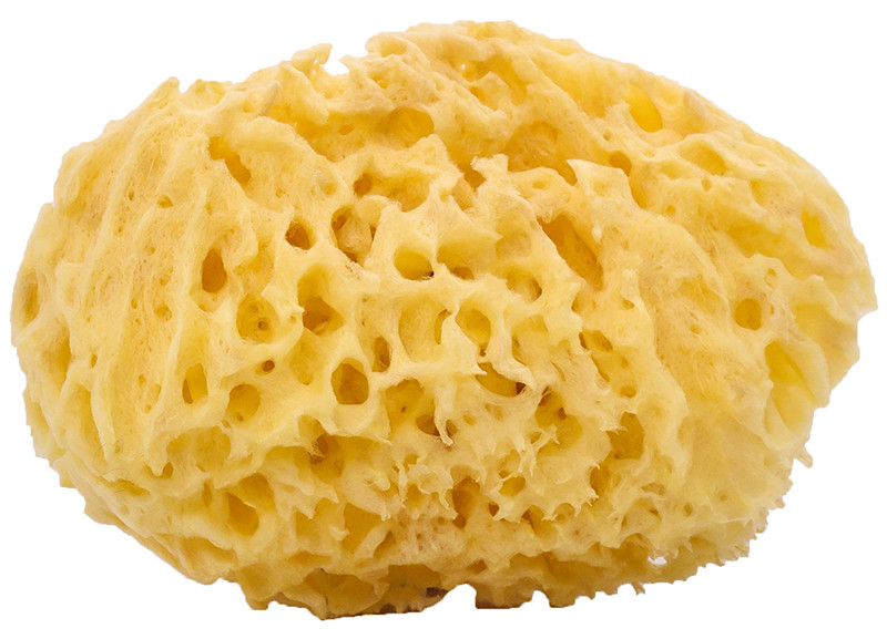 Buy Woman-Kind Natural Honey Comb Bath Sponge, Large Online | Faithful ...
