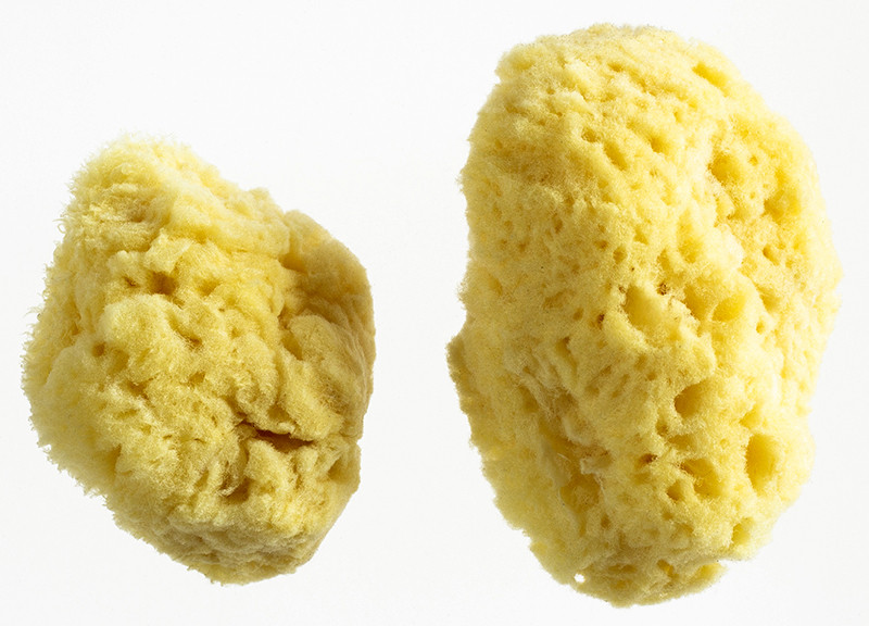 Buy Woman-Kind Menstrual Sponges Pack of 2 (Small & Medium) Online ...