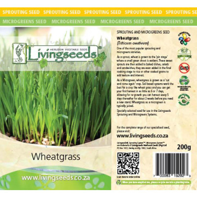 Buy Living Seeds Wheatgrass Sprouting & Microgreen Seeds Online ...