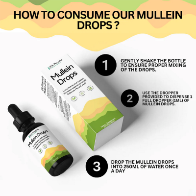 Buy EA Pharma Mullein Drops Online | Faithful to Nature