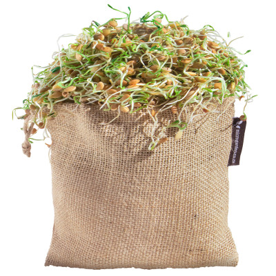 Buy Microgarden Sprout Bag Online | Faithful to Nature