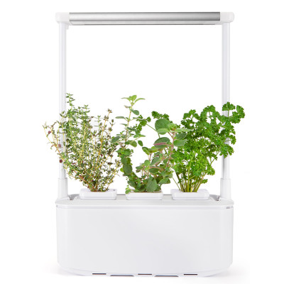 Buy Microgarden Smart Garden 3 Online | Faithful to Nature