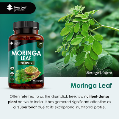 Buy New Leaf Moringa Capsules Online | Faithful to Nature