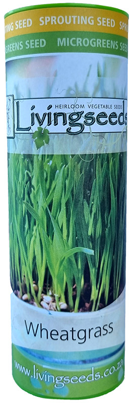 Buy Living Seeds Wheatgrass Sprouting & Microgreen Seeds Online ...