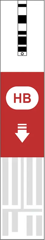 Buy AccuG - Hemoglobin Test Strips Online | Faithful to Nature