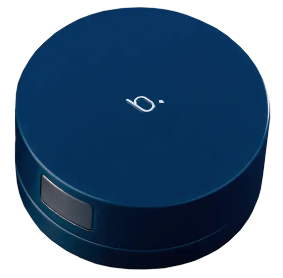 Buy B.Wellness Pure Seaweed Online | Faithful to Nature