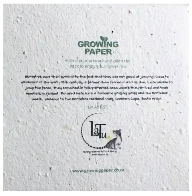 Buy Growing Paper You Are Awesome Greeting Card Online | Faithful to Nature