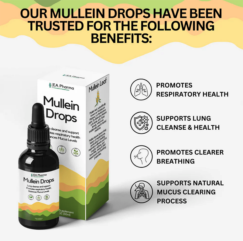 Buy EA Pharma Mullein Drops Online | Faithful to Nature