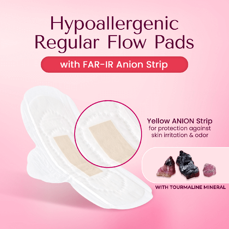 Buy Gentle Day Regular Pads - Organic & Hypoallergenic Online ...