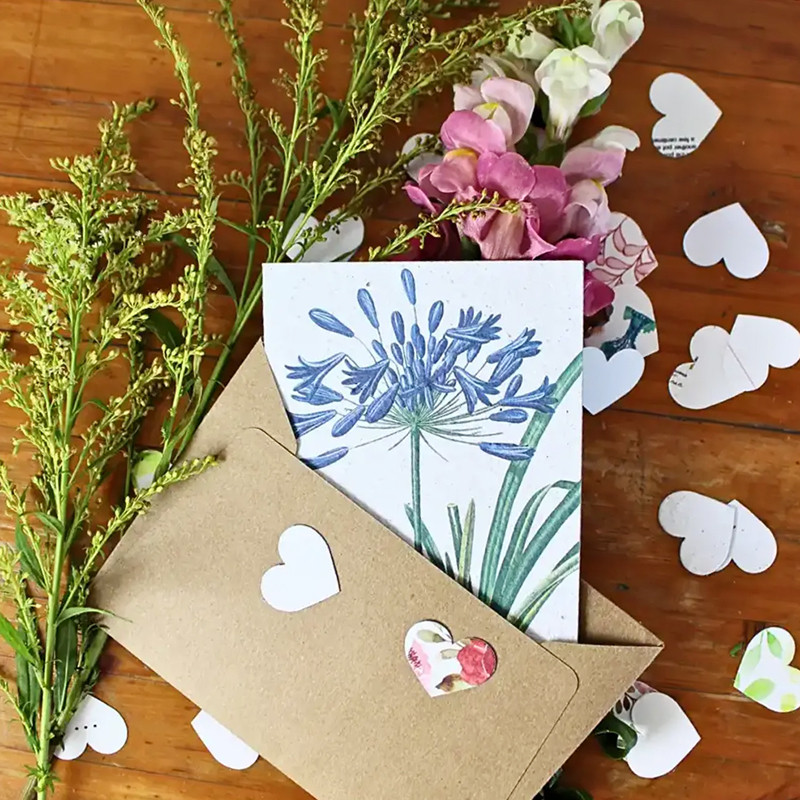 Buy Growing Paper Agapanthus Greeting Card Online | Faithful to Nature