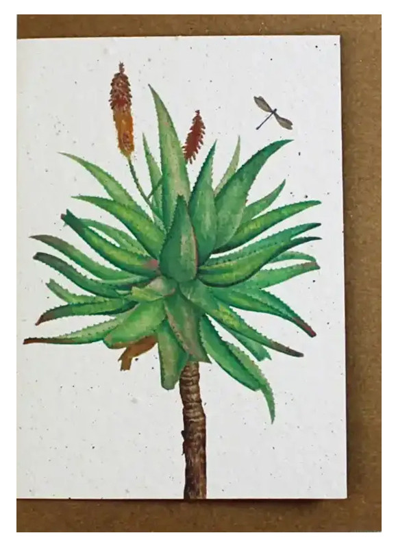 Buy Growing Paper Aloe Greeting Card Online | Faithful to Nature