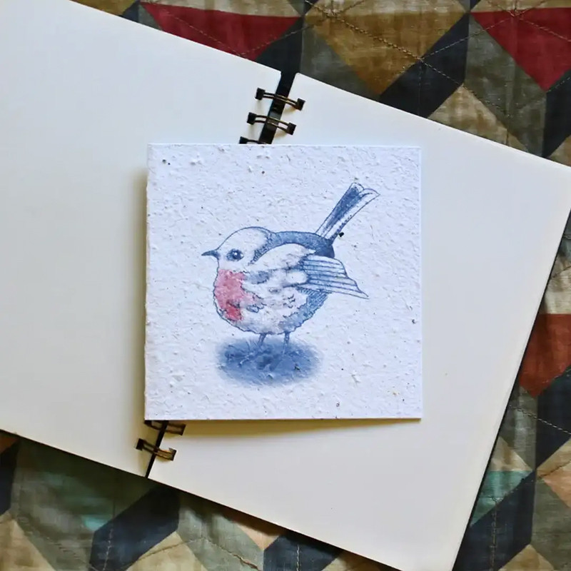 Buy Growing Paper Bird Greeting Card Online | Faithful to Nature