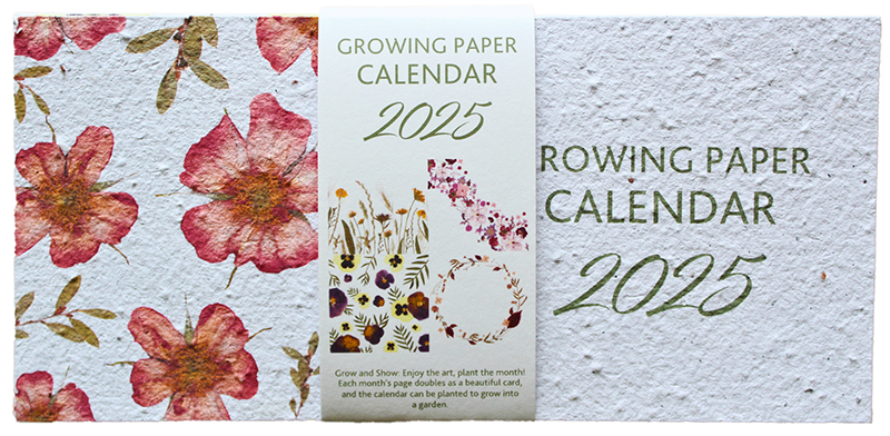 Buy Growing Paper Fleur with Grace Stand Calendar Online | Faithful to ...