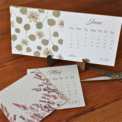 Buy Growing Paper Fleur with Grace Stand Calendar Online | Faithful to ...