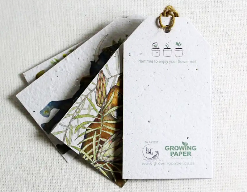 Buy Growing Paper In The Veld Tags Online | Faithful to Nature