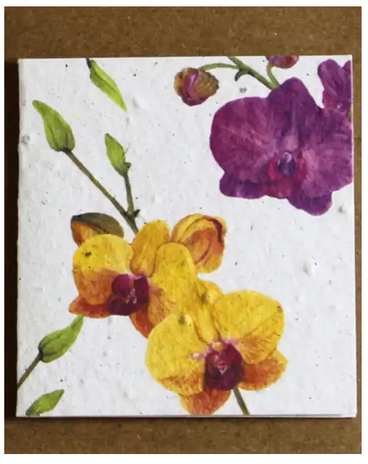 Buy Growing Paper Orchid Mini Card Online | Faithful to Nature
