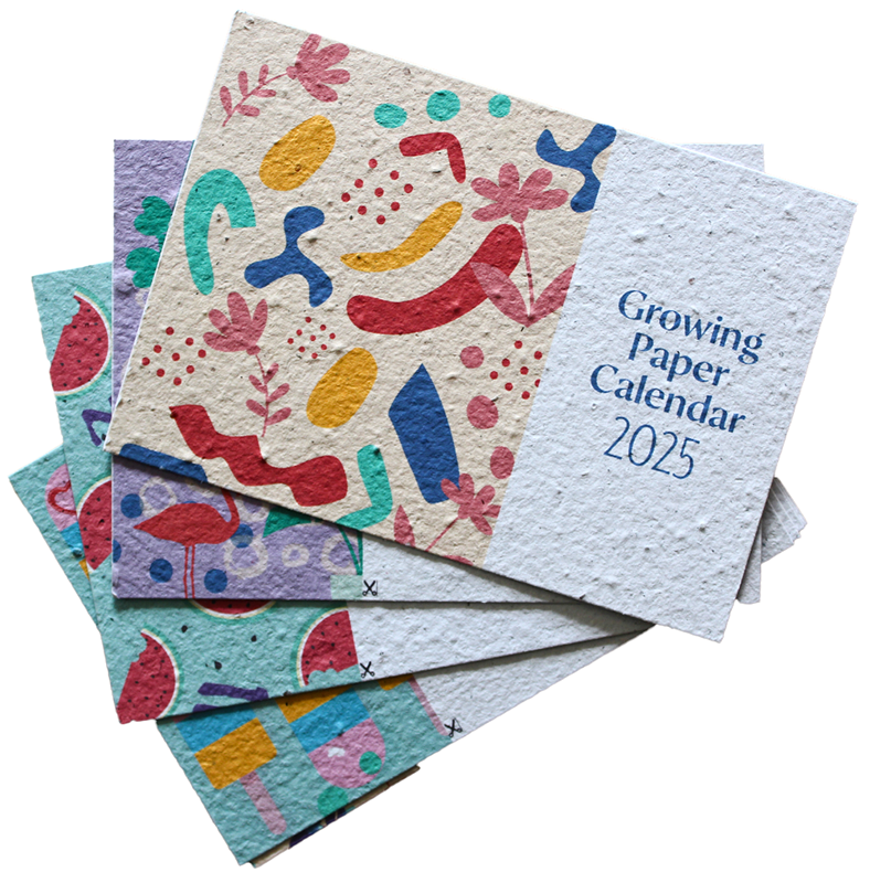 Buy Growing Paper Stand Calendar Online | Faithful to Nature