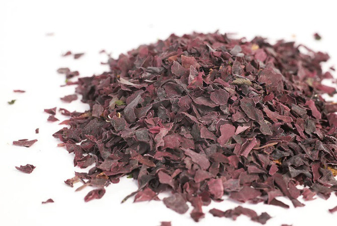 Buy Health Revel Atlantic Dulse Flakes Online | Faithful to Nature