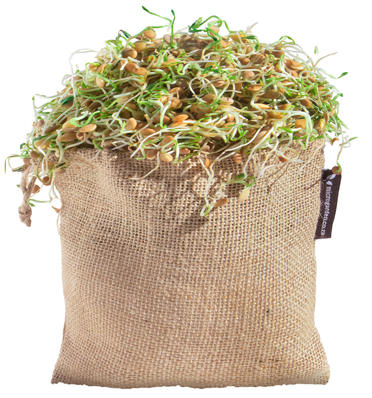 Buy Microgarden Sprout Bag Online | Faithful to Nature