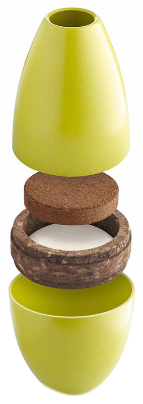 Buy Biotree Urn for Animals Online | Faithful to Nature