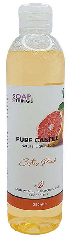 Buy Soap n Things Pure Liquid Castile Soap Citrus Punch - 250ml Online ...